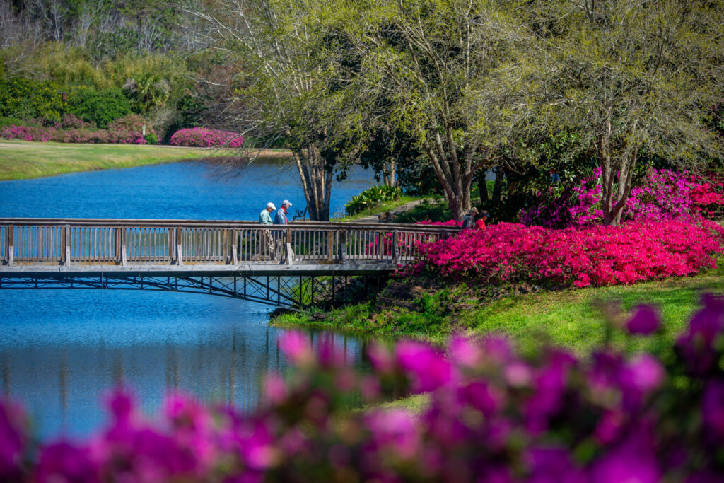 Discover - Bellingrath Gardens