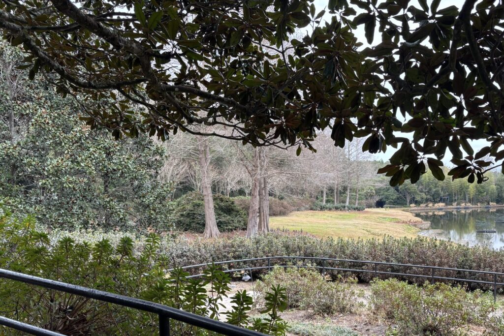 Azalea Core Collection Part 3 - Bellingrath Gardens