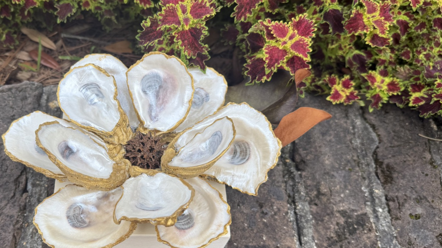 Oyster Shell Magnolia Flowers | SOLD OUT - Bellingrath Gardens