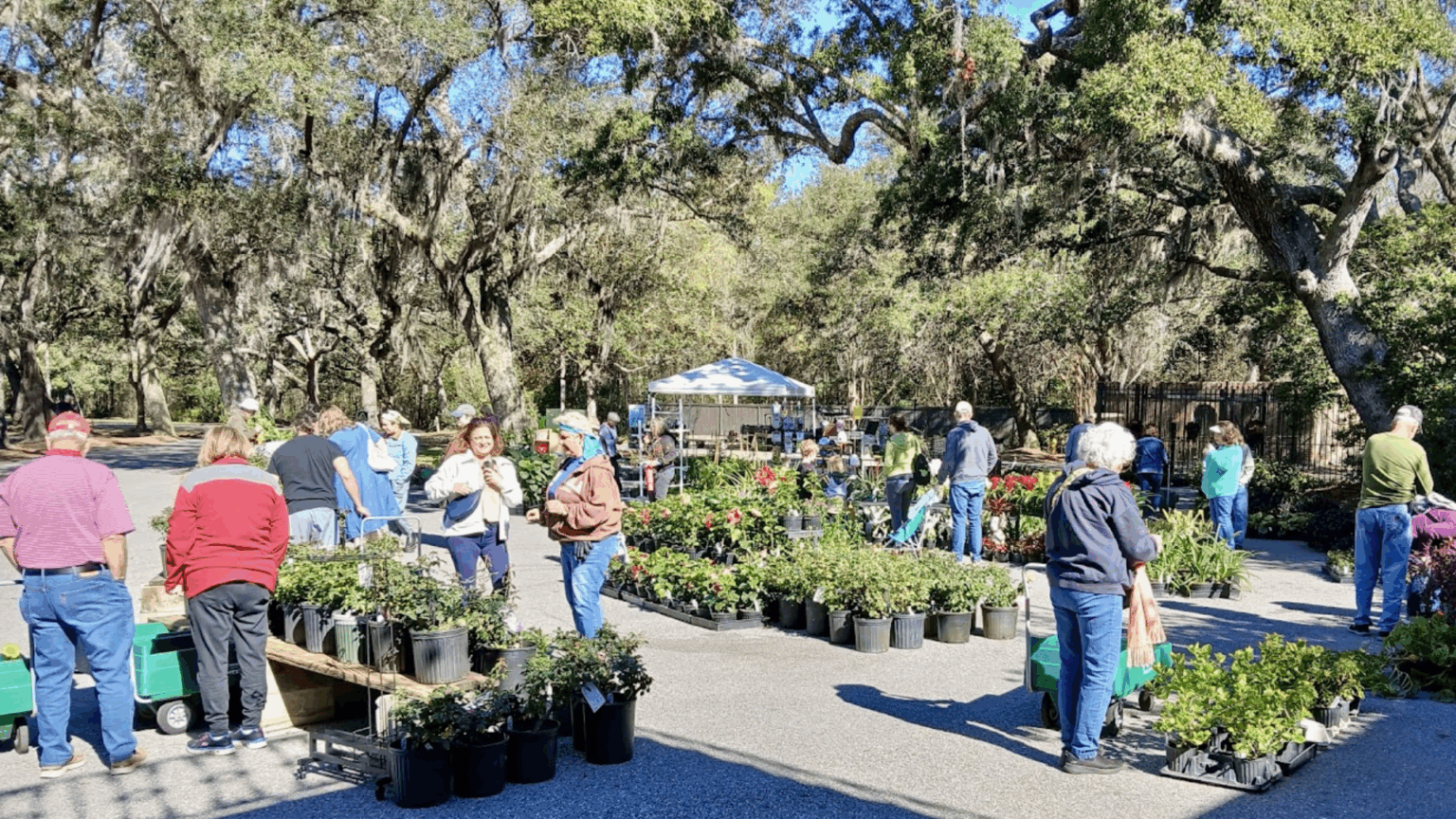 Spring Plant Market - Bellingrath Gardens